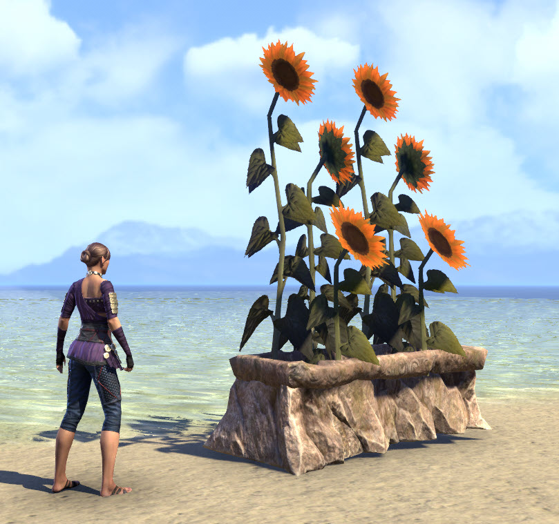 ESO Fashion | Druidic Planter, Sunflowers (Elder Scrolls Online)