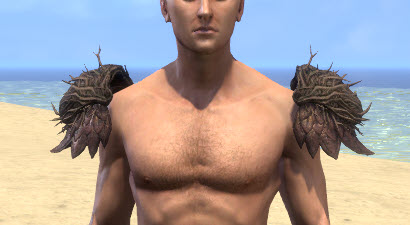 ESO Fashion | Eldertide (Elder Scrolls Online)