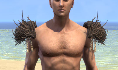 ESO Fashion | Eldertide (Elder Scrolls Online)