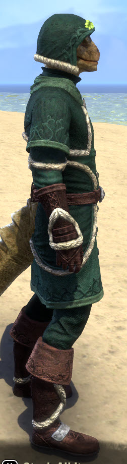 ESO Fashion | Evergreen (Elder Scrolls Online)