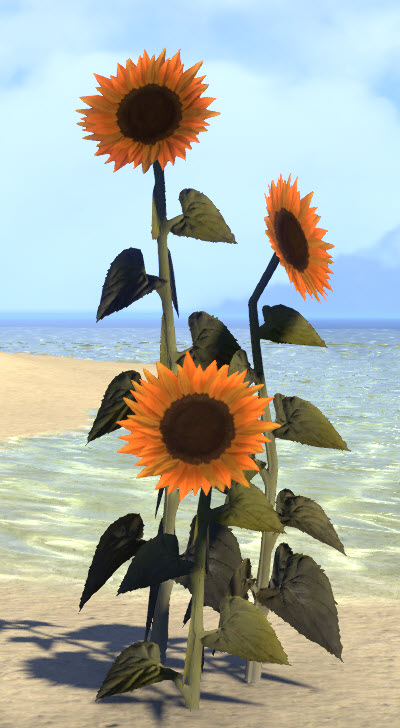 ESO Fashion | Flowers, Sunflower Cluster (Elder Scrolls Online)
