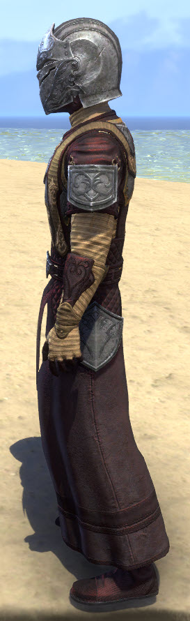 ESO Fashion | House Mornard Ancestor Silk (Elder Scrolls Online)