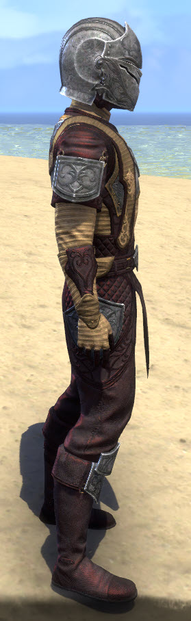 ESO Fashion | House Mornard Ancestor Silk (Elder Scrolls Online)