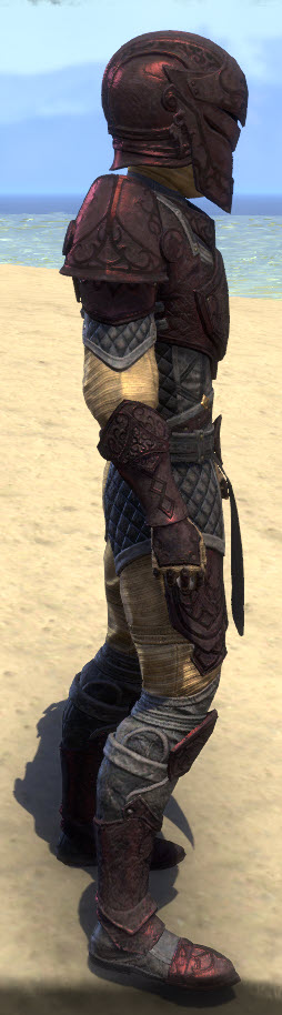 ESO Fashion | House Mornard Rubedo Leather (Elder Scrolls Online)