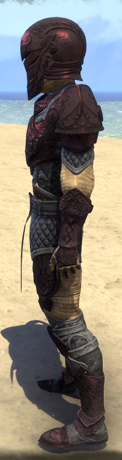 ESO Fashion | House Mornard Rubedo Leather (Elder Scrolls Online)
