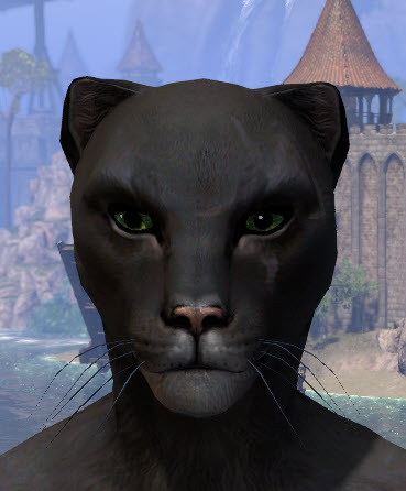 ESO Fashion | Stonelore’s Legend Face Paint (Elder Scrolls Online)