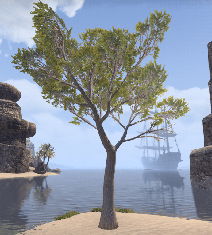 ESO Fashion | Tree, Large Galen Pine (Elder Scrolls Online)