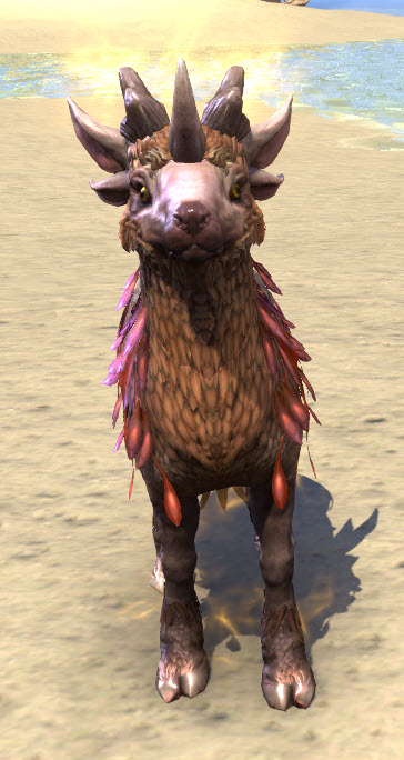 ESO Fashion | Autumnal Indrik (Elder Scrolls Online)