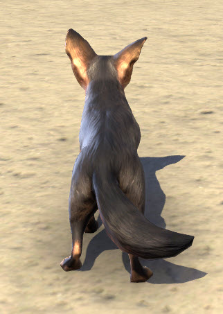 ESO Fashion | Bergama Fennec Fox (Elder Scrolls Online)