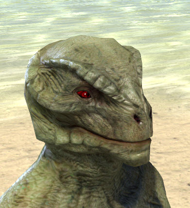 ESO Fashion | Eyes of Sanguine (Elder Scrolls Online)