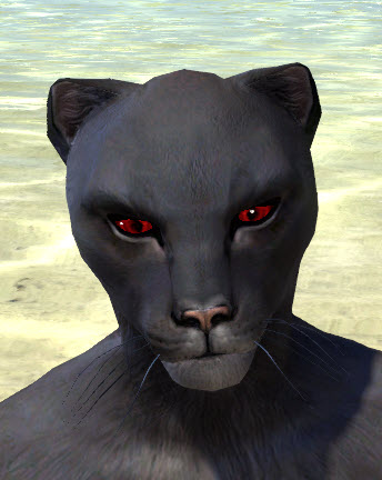 ESO Fashion | Eyes of Sanguine (Elder Scrolls Online)