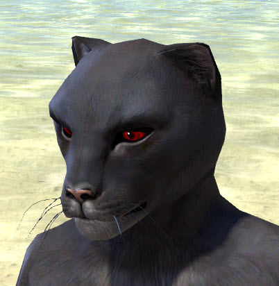 ESO Fashion | Eyes of Sanguine (Elder Scrolls Online)