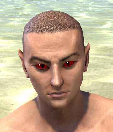 ESO Fashion | Eyes of Sanguine (Elder Scrolls Online)