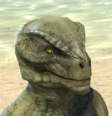 ESO Fashion | Eyes of the Xivilai (Elder Scrolls Online)