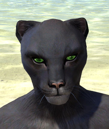 ESO Fashion | Eyes of the Xivilai (Elder Scrolls Online)