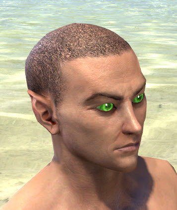 ESO Fashion | Eyes of the Xivilai (Elder Scrolls Online)