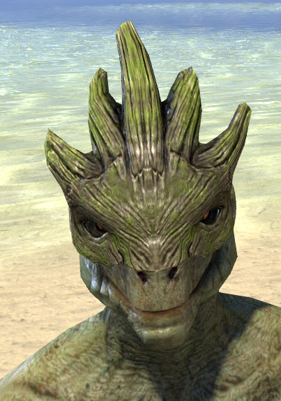 ESO Fashion | Galenwood Mask (Elder Scrolls Online)