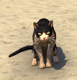 ESO Fashion | Piebald Cat (Elder Scrolls Online)