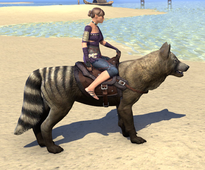 ESO Fashion | Rimmen Ringtailed Wolf (Elder Scrolls Online)