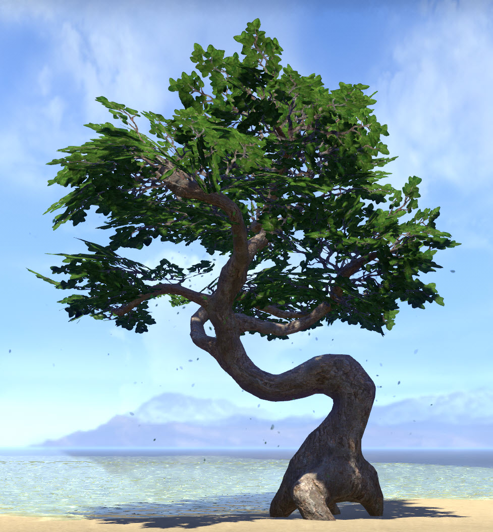 ESO Fashion | Tree, Seasons of Y'ffre (Elder Scrolls Online)