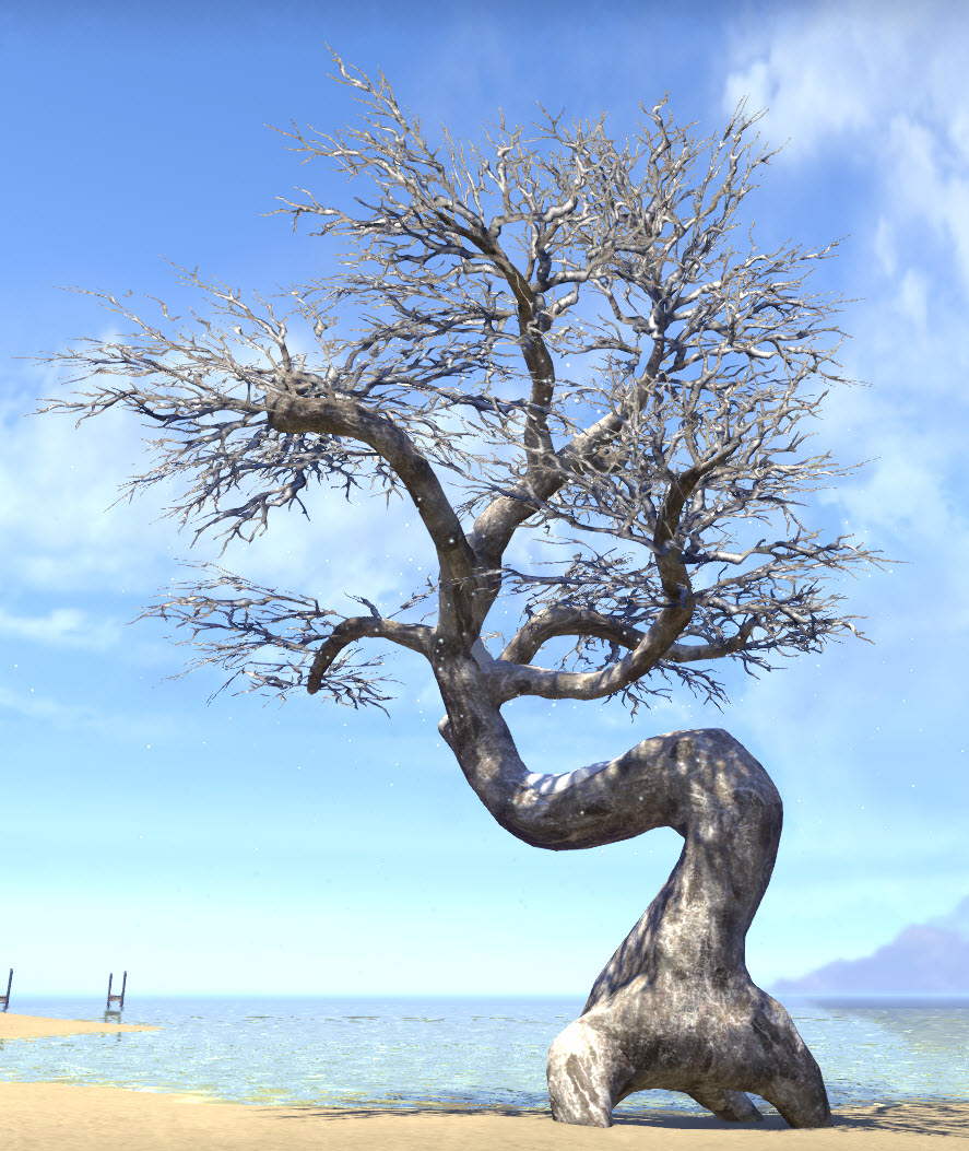ESO Fashion | Tree, Seasons of Y'ffre (Elder Scrolls Online)