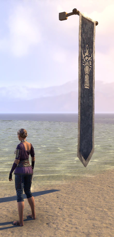 ESO Fashion | Ascendant Knight Banner (Elder Scrolls Online)