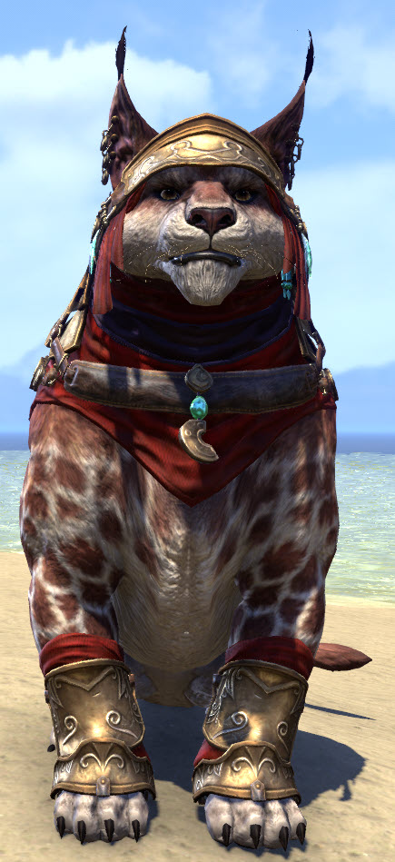 ESO Fashion | Caska (Elder Scrolls Online)