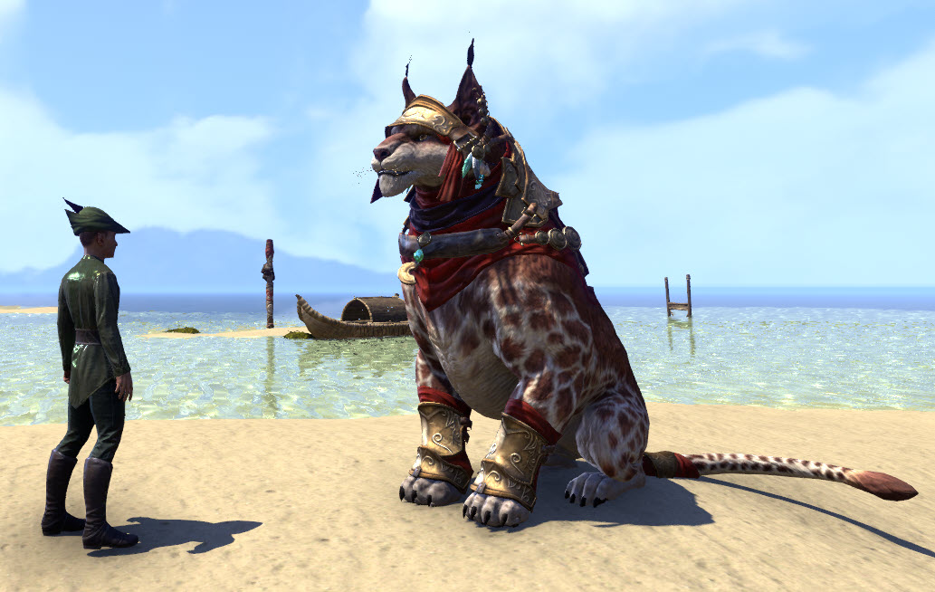 ESO Fashion | Caska (Elder Scrolls Online)