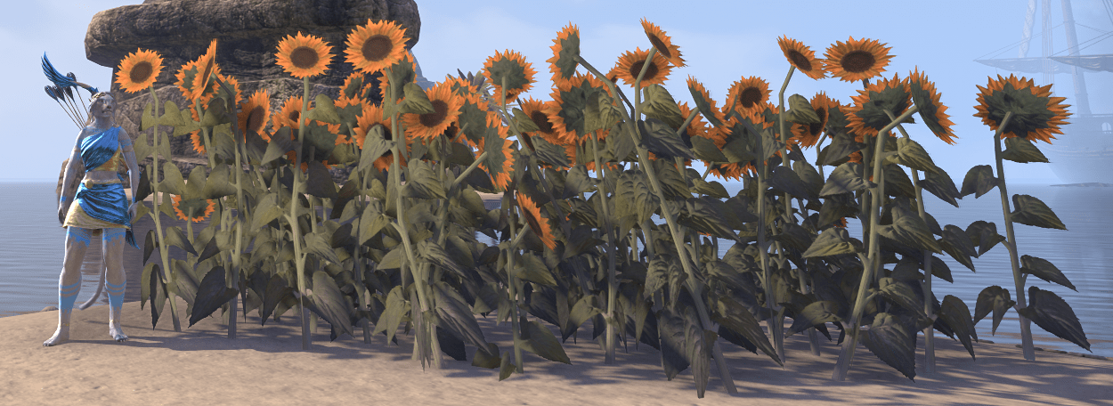 ESO Fashion | Flowers, Sunflower Patch (Elder Scrolls Online)