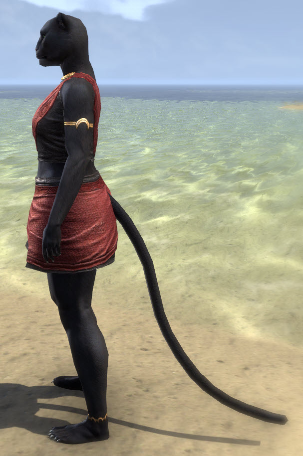 ESO Fashion | Rimmen Fountain-Side Loungewear (Elder Scrolls Online)