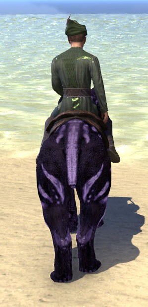 ESO Fashion | Vale Sabre Cat Growler (Elder Scrolls Online)