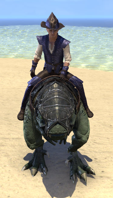 ESO Fashion | Antecedent Scholar's Guar (Elder Scrolls Online)