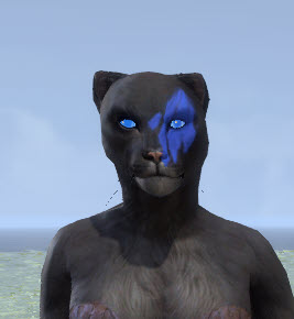 ESO Fashion | Daggerfall Covenant War Marks (Elder Scrolls Online)