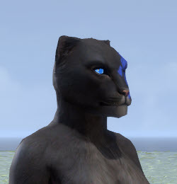 ESO Fashion | Daggerfall Covenant War Marks (Elder Scrolls Online)