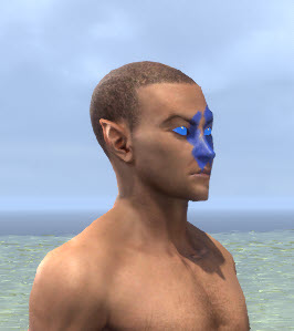 ESO Fashion | Daggerfall Covenant War Marks (Elder Scrolls Online)