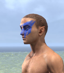 ESO Fashion | Daggerfall Covenant War Marks (Elder Scrolls Online)