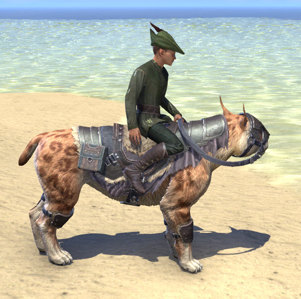 ESO Fashion | Falkreath Riding-Lynx (Elder Scrolls Online)