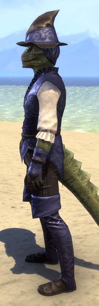 ESO Fashion | Fashion Witch Ensemble (Elder Scrolls Online)