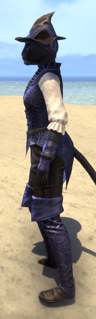 ESO Fashion | Fashion Witch Ensemble (Elder Scrolls Online)