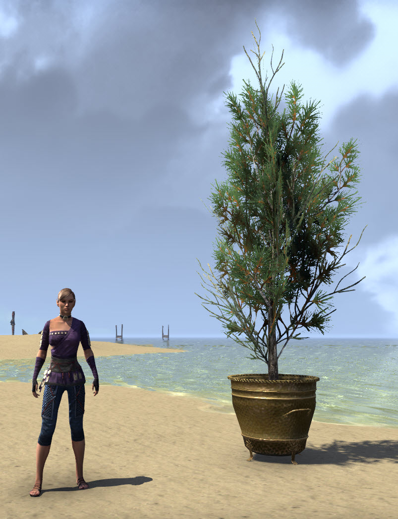 ESO Fashion | Potted Tree, Systres Pine (Elder Scrolls Online)