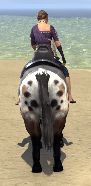 ESO Fashion | Skingrad Pillion Courser (Elder Scrolls Online)
