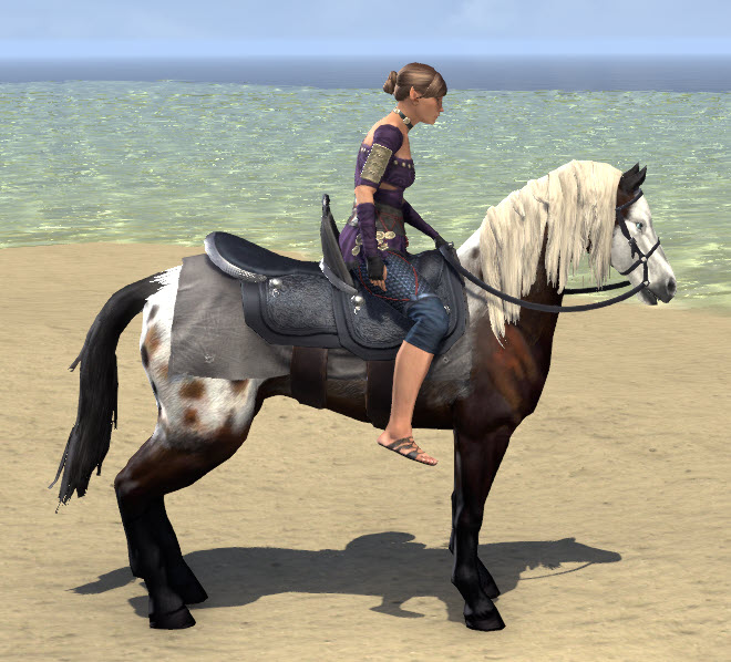ESO Fashion | Skingrad Pillion Courser (Elder Scrolls Online)
